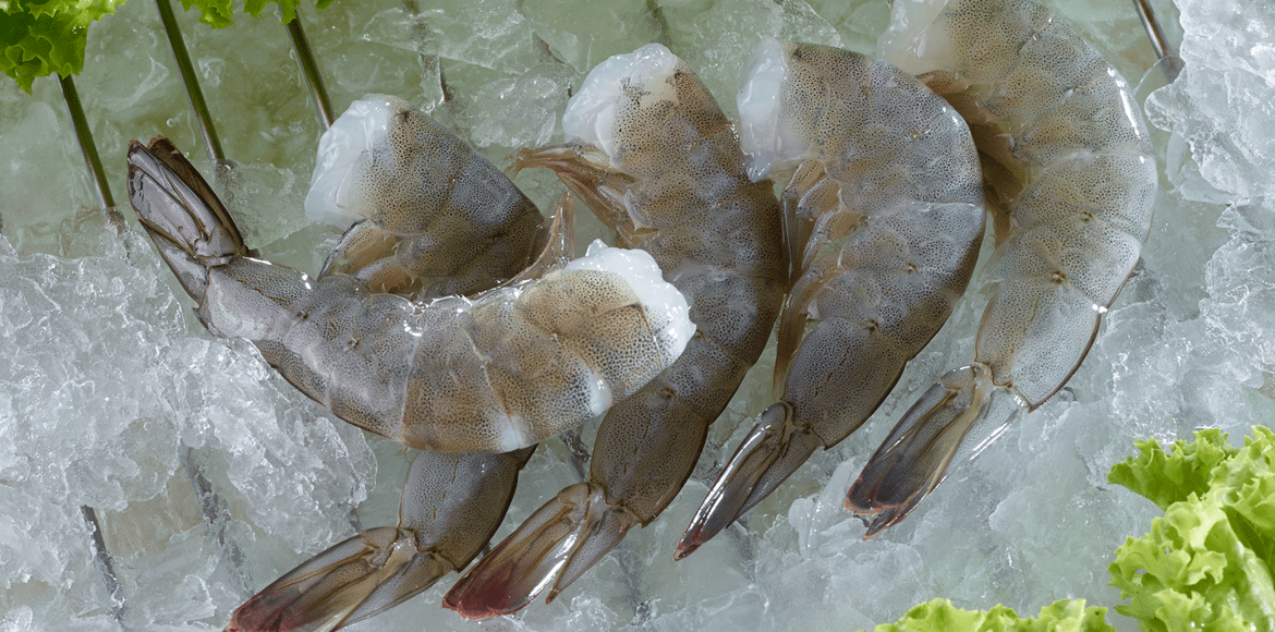 PMMP | product-detail-en